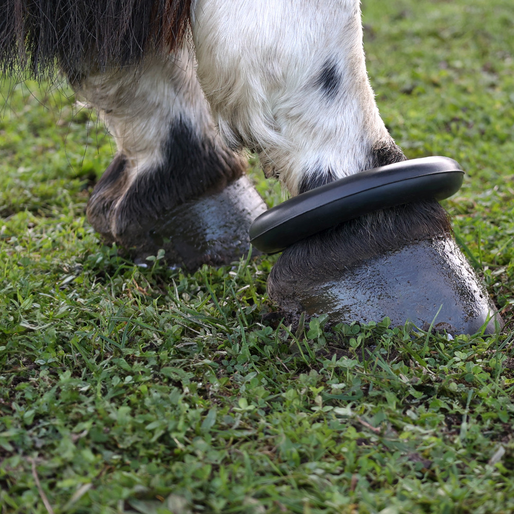 Hy Equestrian - Hy Equestrian Fetlock Ring with Strap